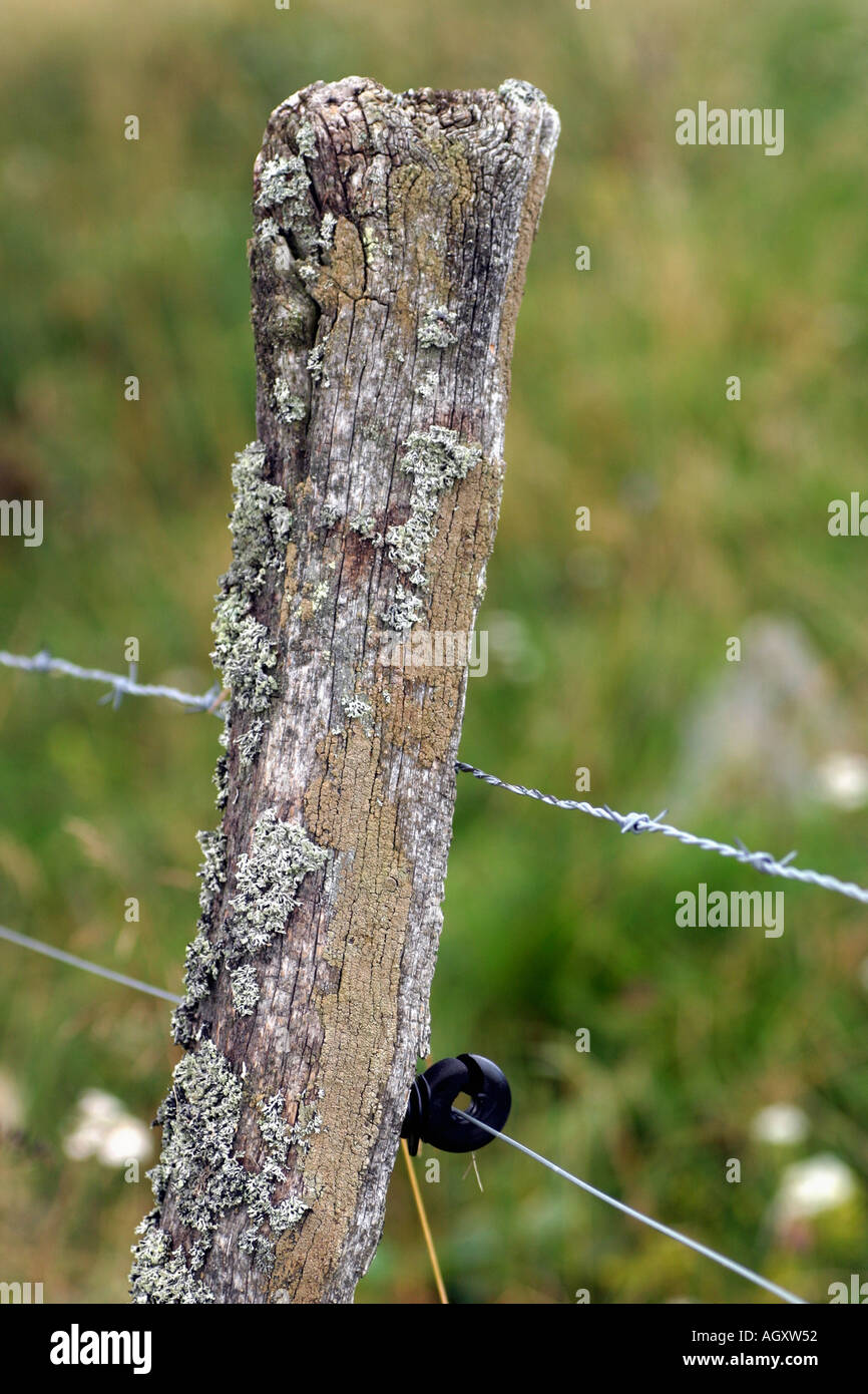 Electrical fence and barb wire Stock Photo - Alamy