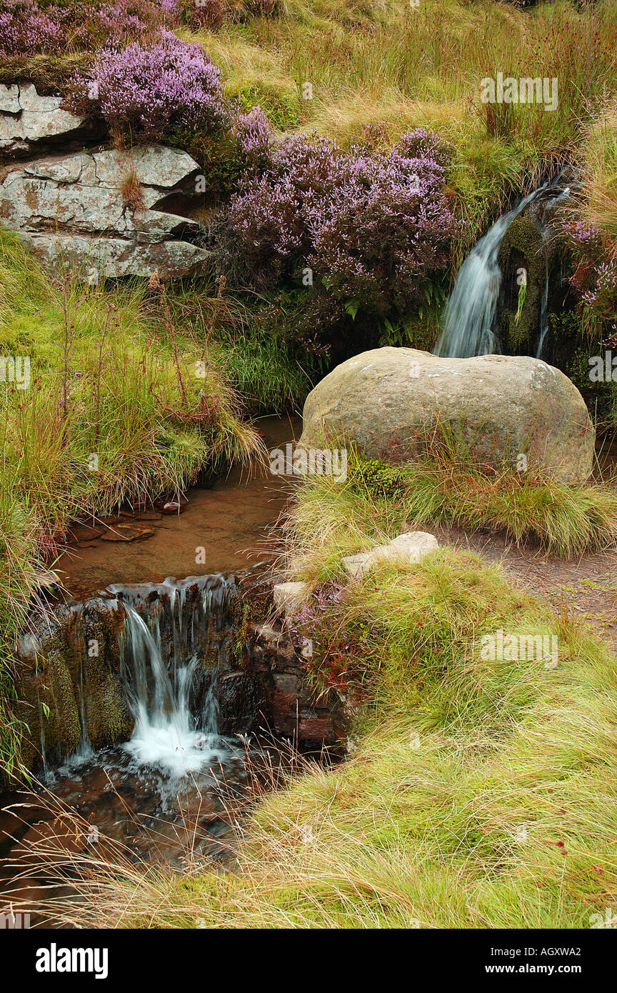 derbyshire stream leading to kinder reservoir Stock Photo - Alamy