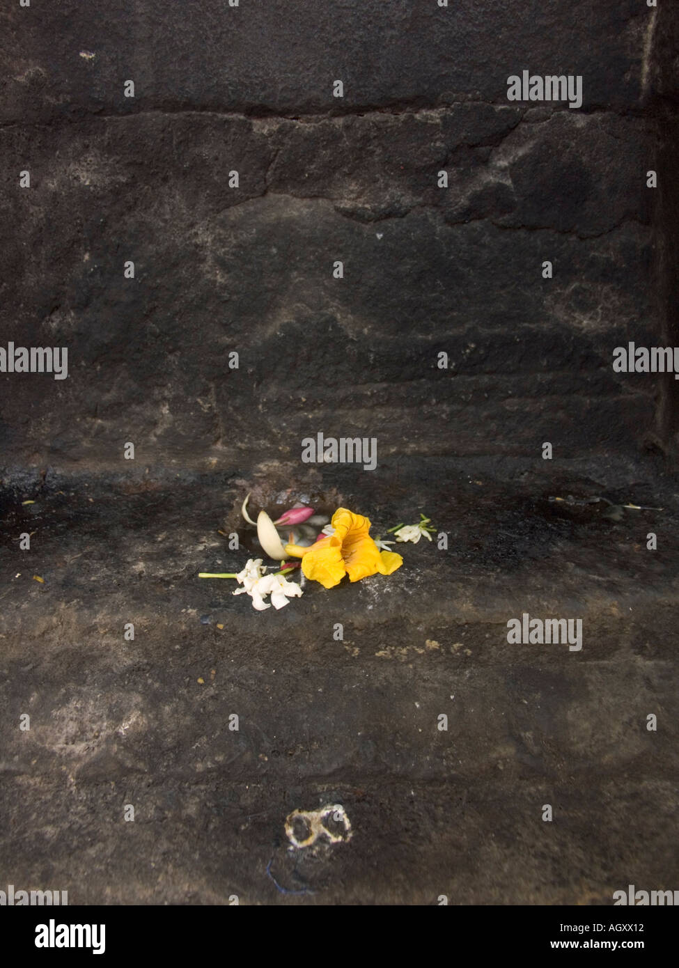 Flowers left as signs of devotion at a Hindu temple Stock Photo - Alamy