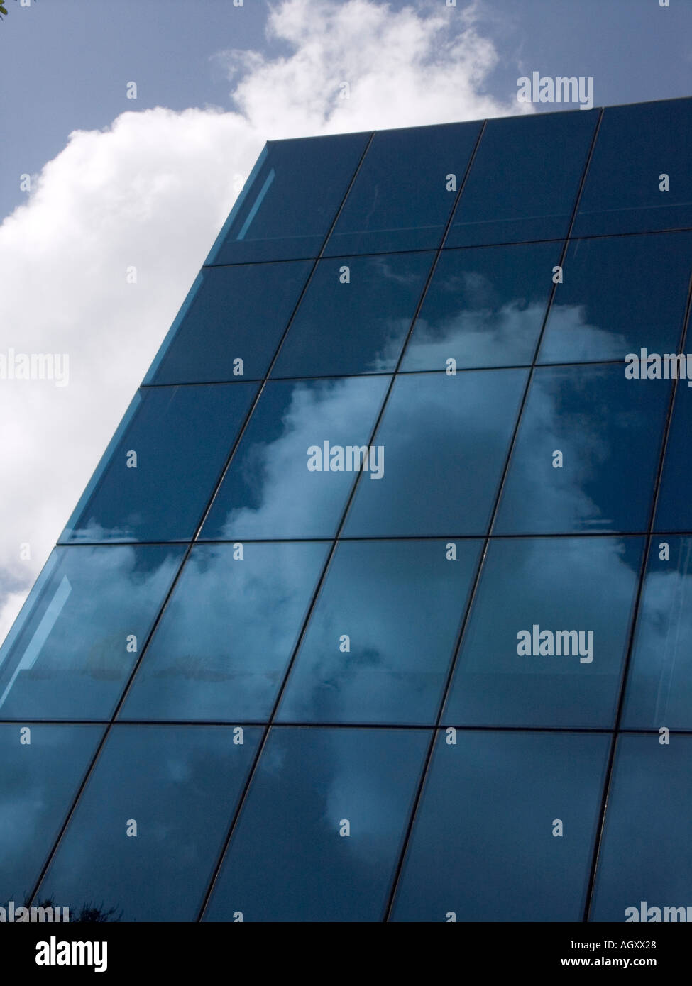 Glass encased office buildings reflect the nearby environment Stock ...