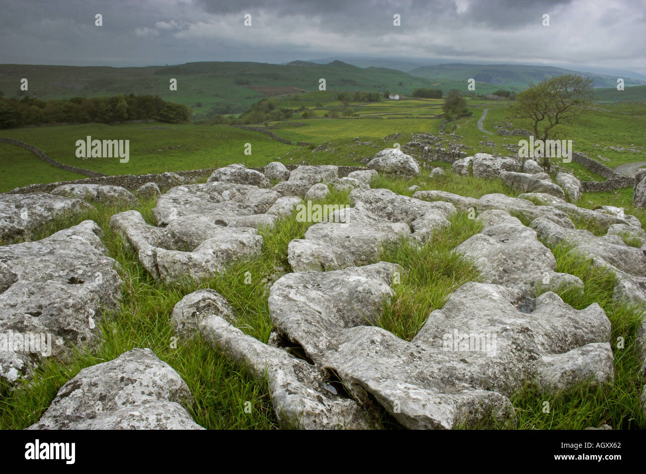 Limestone pavement in the Yorkshire Dales national park Stock Photo - Alamy