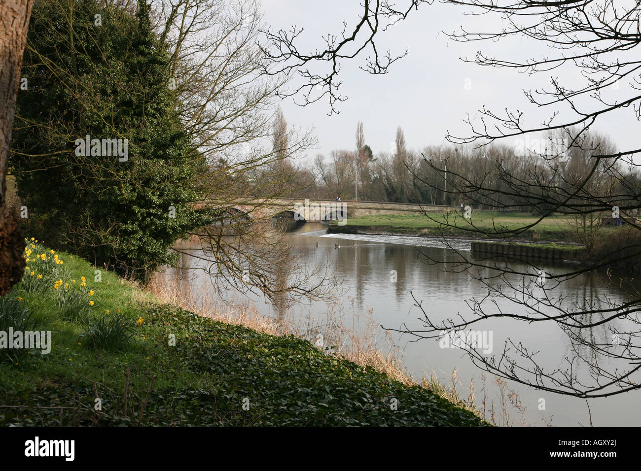 River and bridge in springtime Stock Photo - Alamy