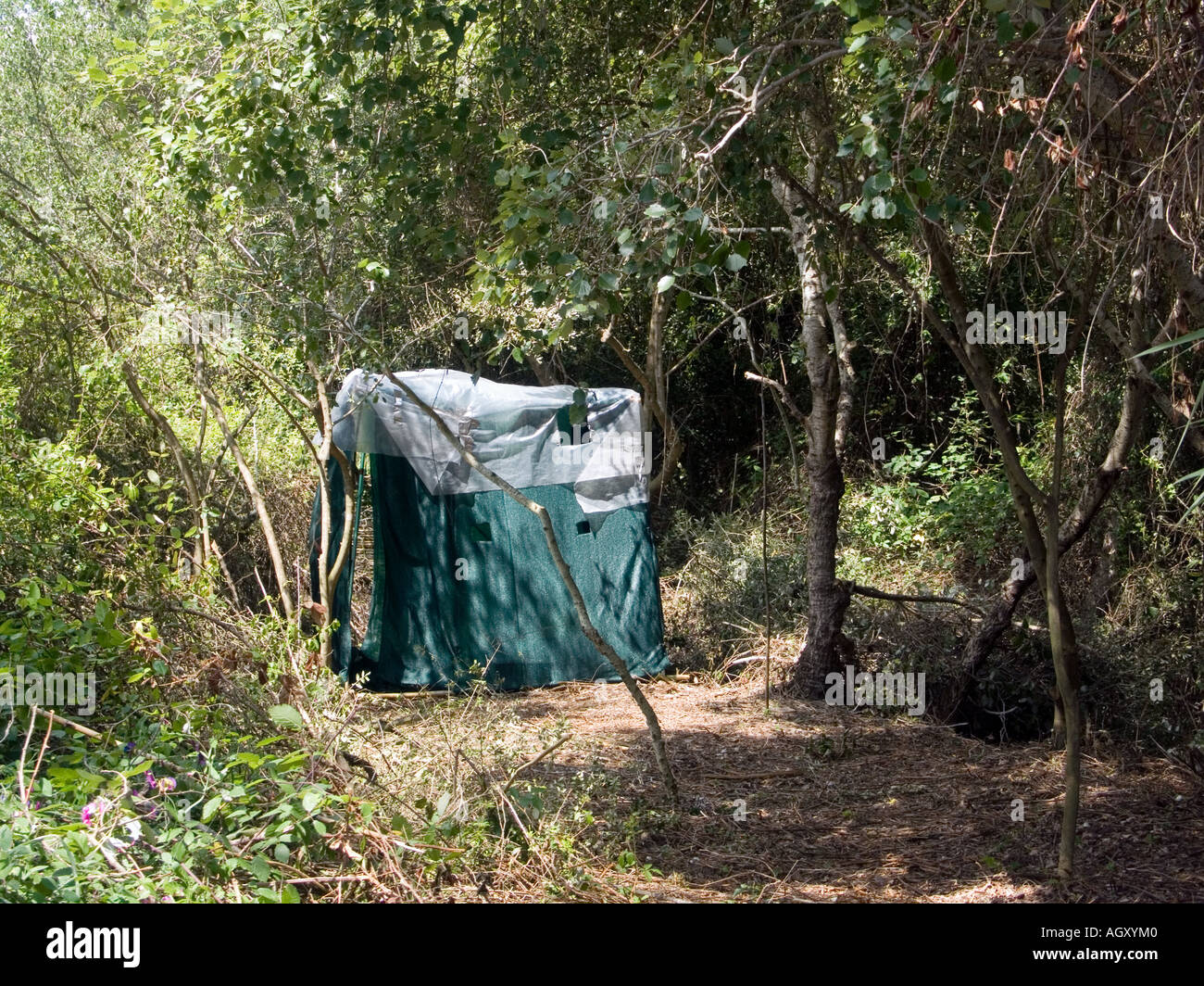 Watching hide hi-res stock photography and images - Alamy