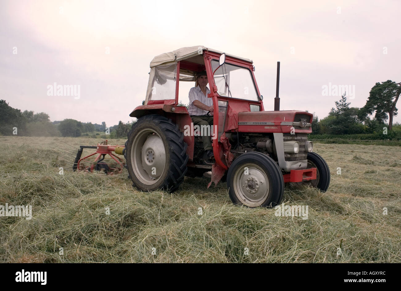 Hay in the making hi-res stock photography and images - Alamy