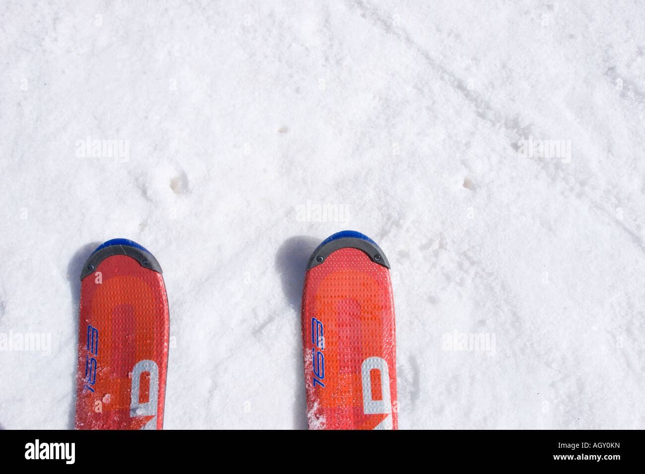 Ski boards on the snow close up (horizontal Stock Photo - Alamy