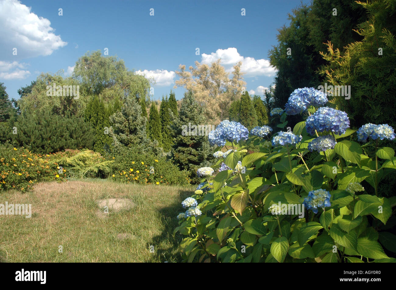 Botanical gardens in Powsin near Warsaw Poland Stock Photo - Alamy