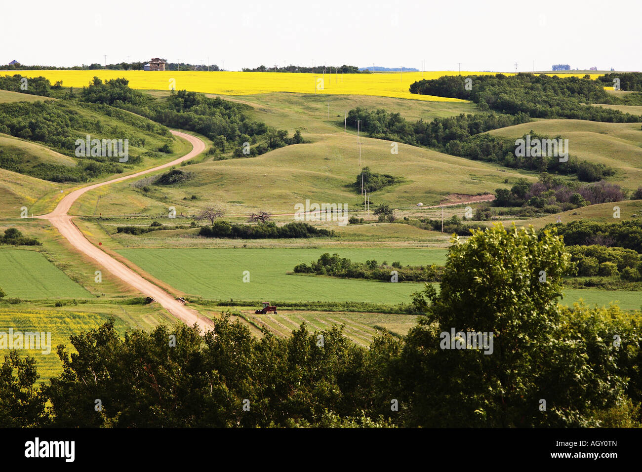 Arcadian canada hi-res stock photography and images - Alamy
