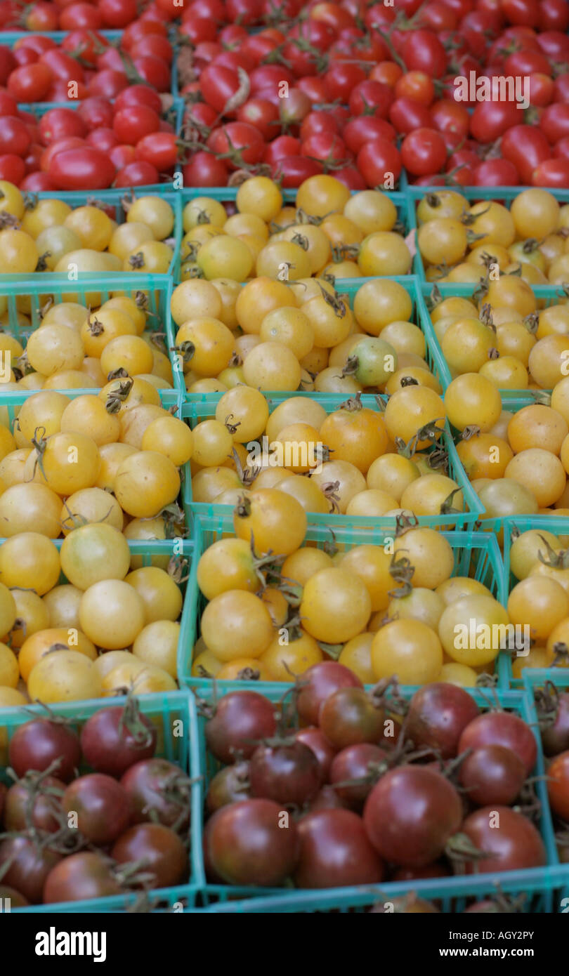 Red yellow and maroon colored tomatoes in plastic green baskets Stock ...