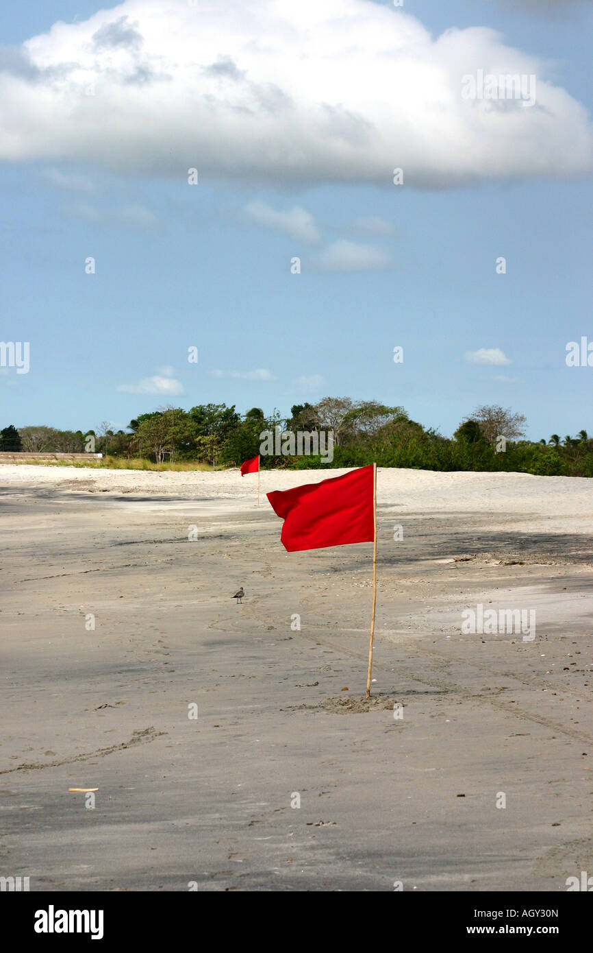 Red warning flags on a beach to alert swimmers of danger Stock Photo ...