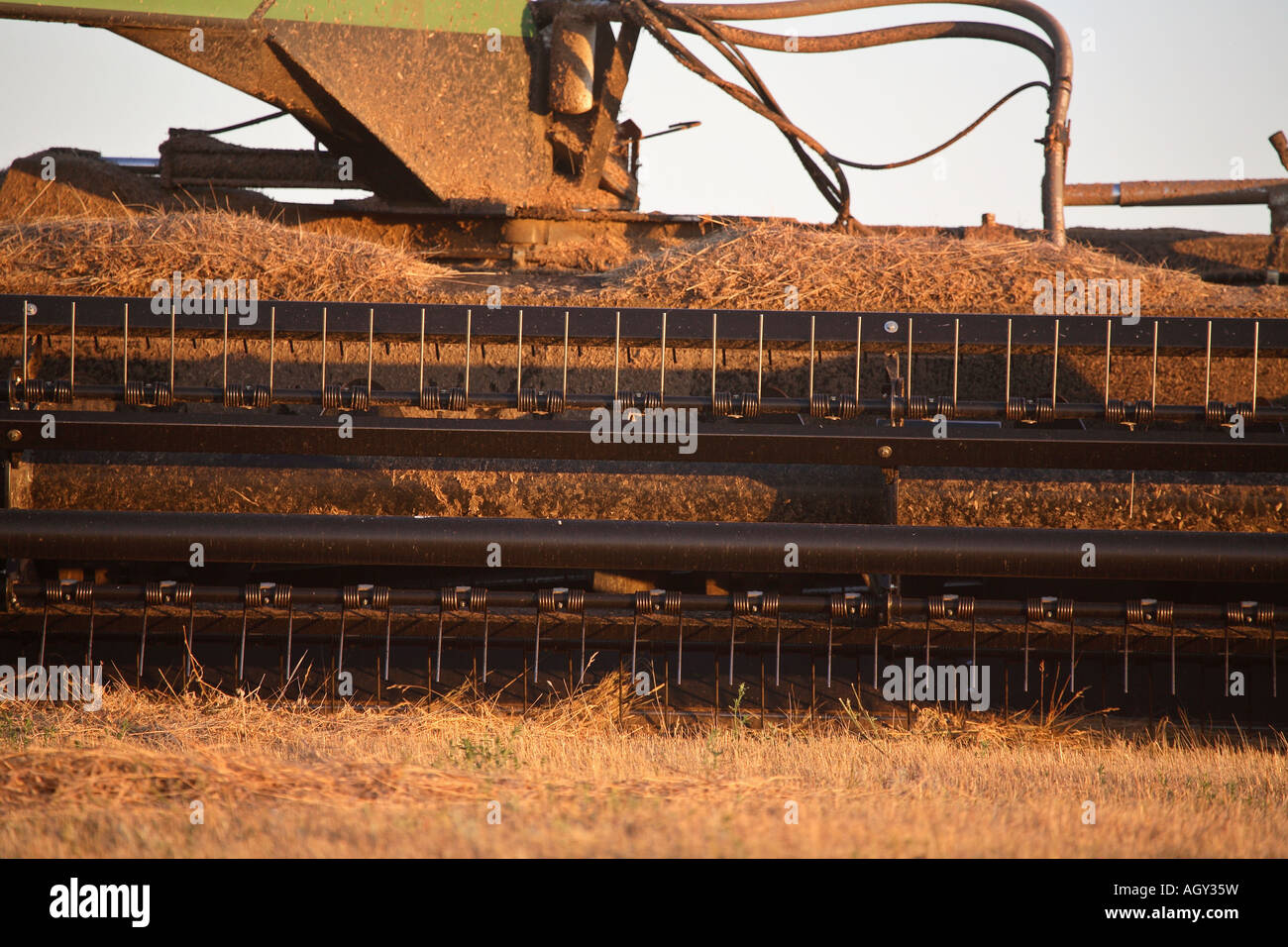 Swathing hay hi-res stock photography and images - Alamy