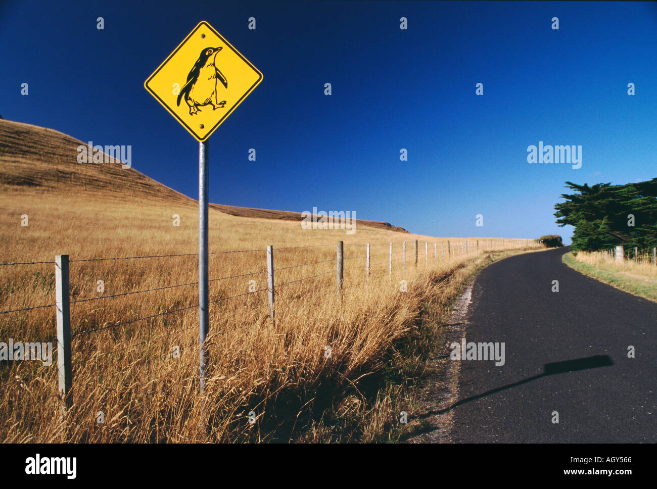 Traffic sign for penguins hi-res stock photography and images - Alamy