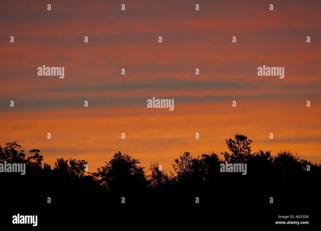 Sunrise over rooftops and trees in West Sussex, England, UK Stock Photo ...