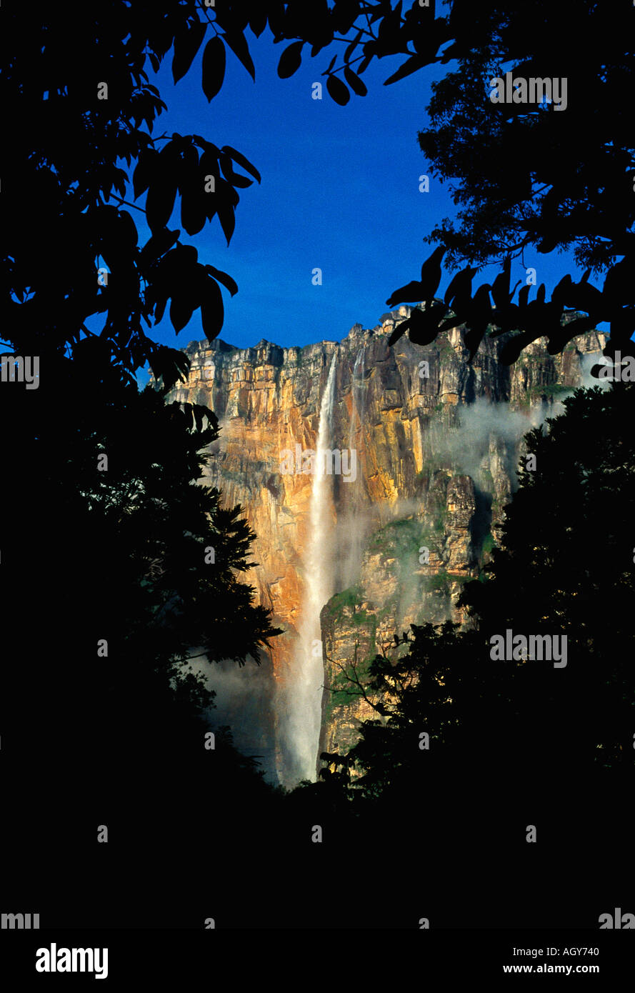 Early morning light on Angel Falls highest waterfall in the world 979m ...