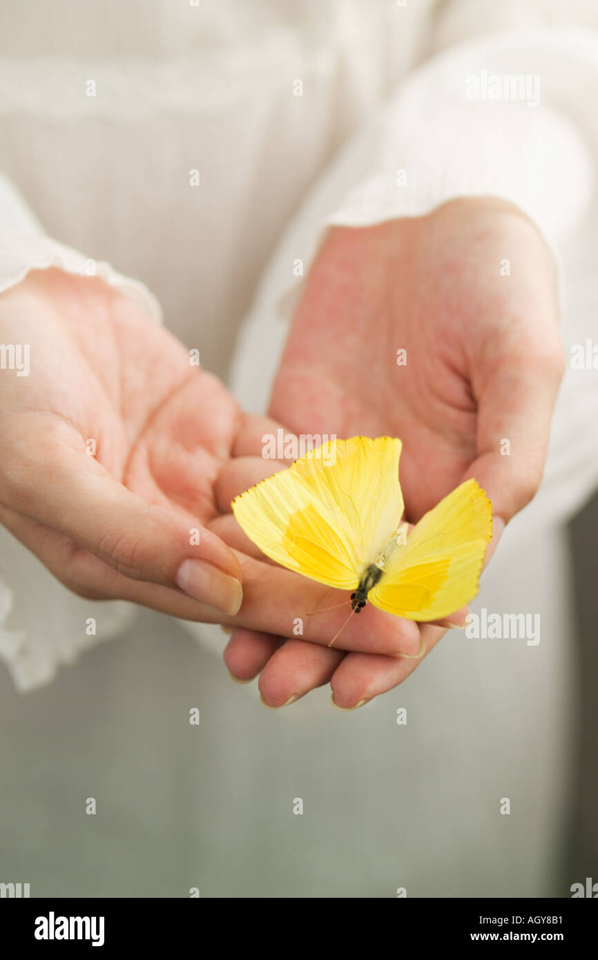 Touch hand touching butterfly hi-res stock photography and images - Alamy