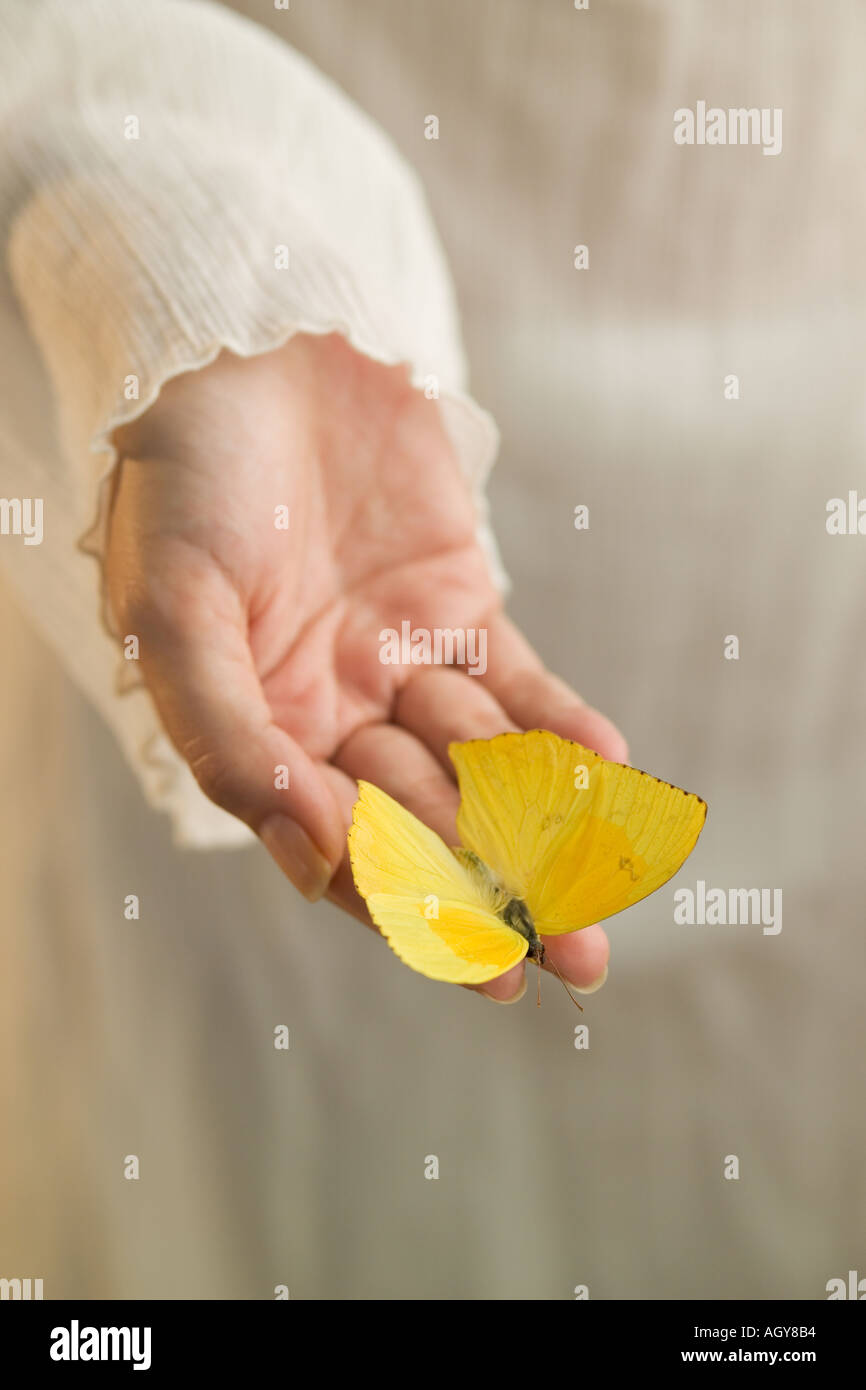 Yellow butterfly in a woman s hand Stock Photo - Alamy