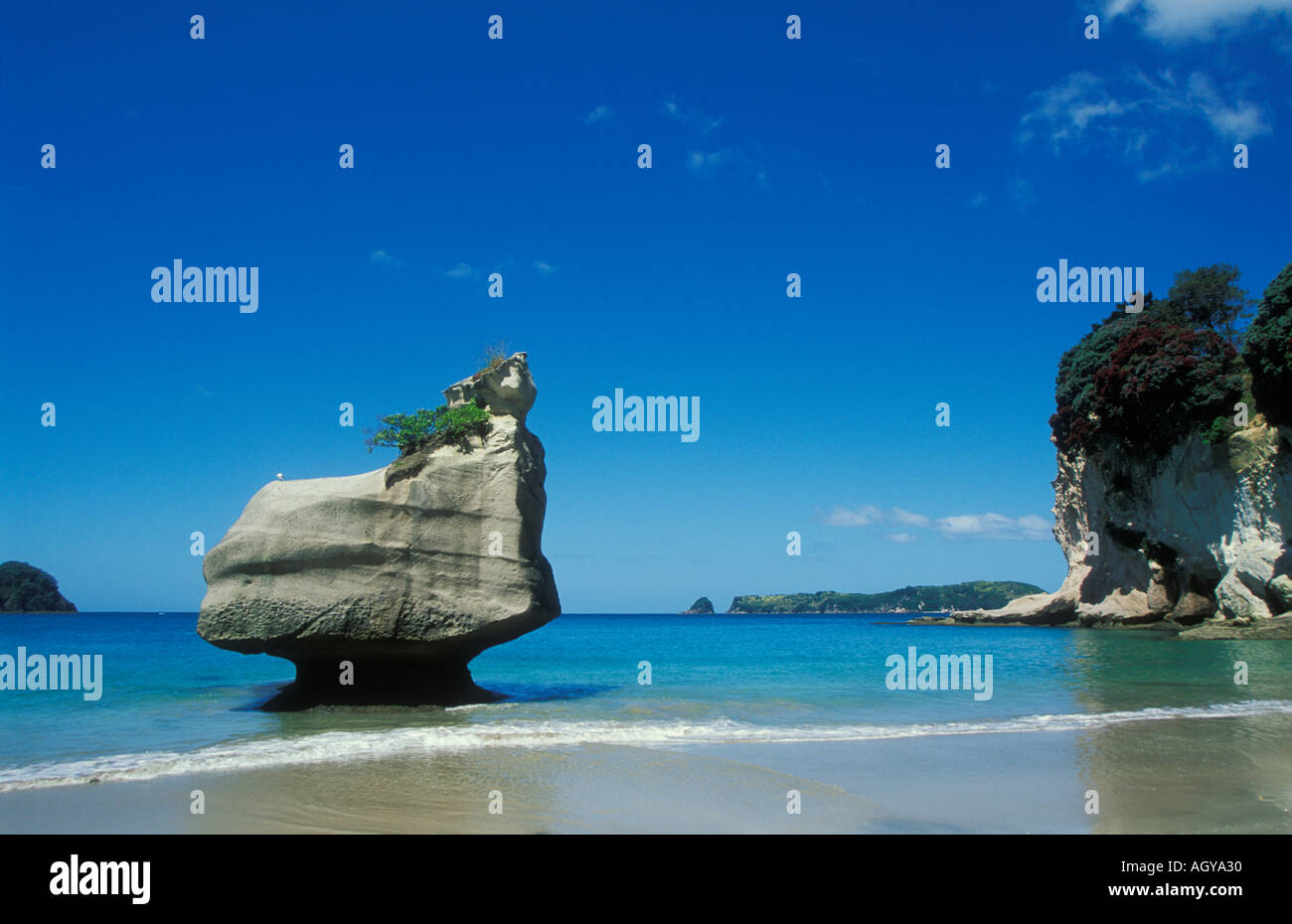 Limestone Rock pinnacle in Cathedral cove marine reserve Coromandel ...