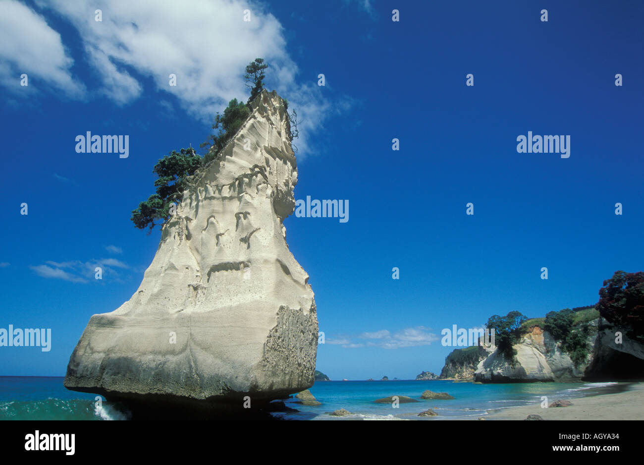 Limestone Rock pinnacle in Cathedral cove marine reserve Coromandel ...