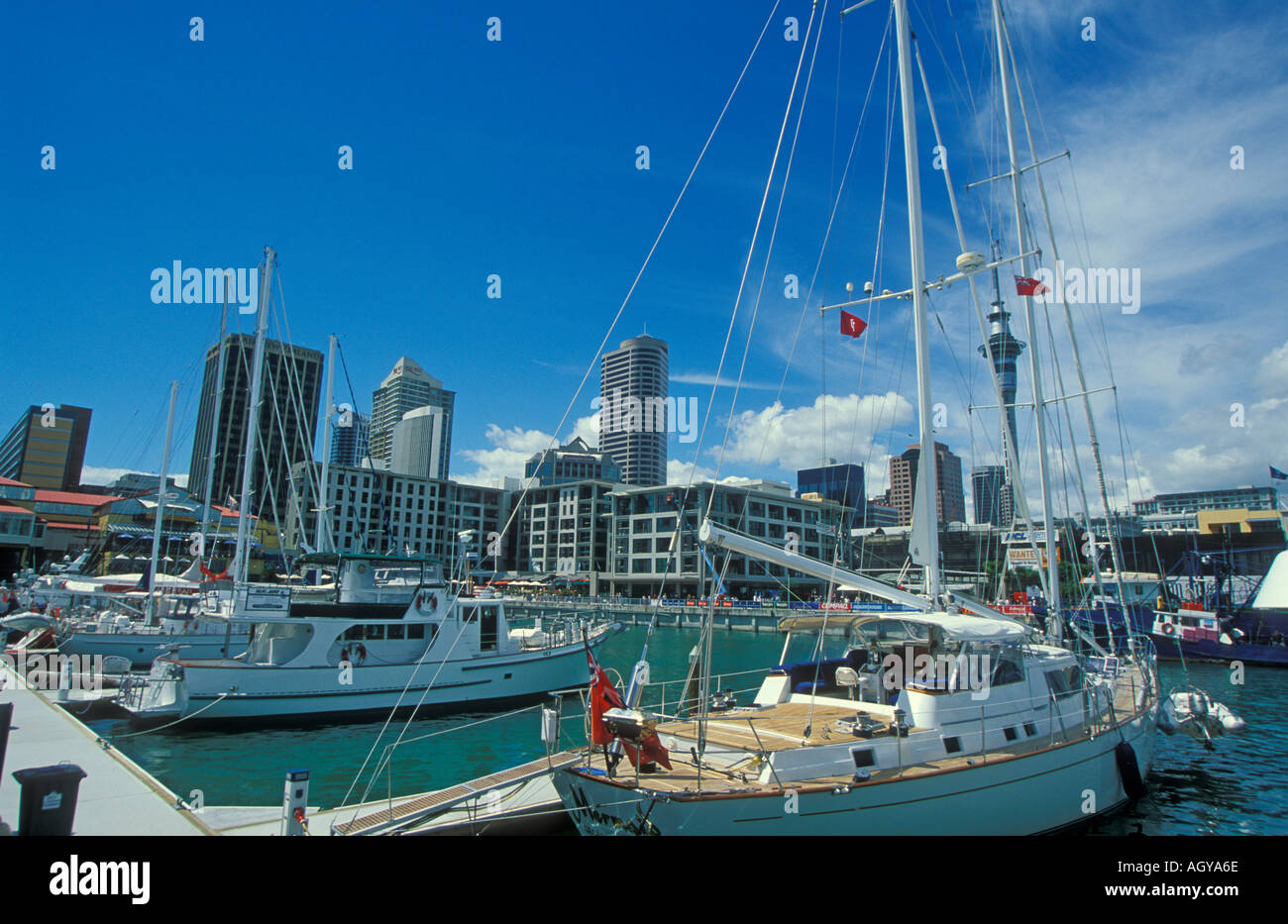 Yachts in viaduct basin Auckland harbour North Island New Zealand eye35 ...