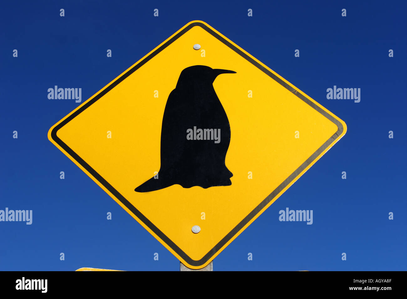Penguin Road Sign Kangaroo Island Australia Stock Photo - Alamy