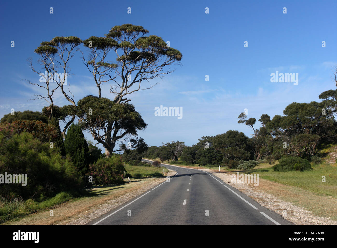 Empty Road Kangaroo Island Australia Stock Photo - Alamy