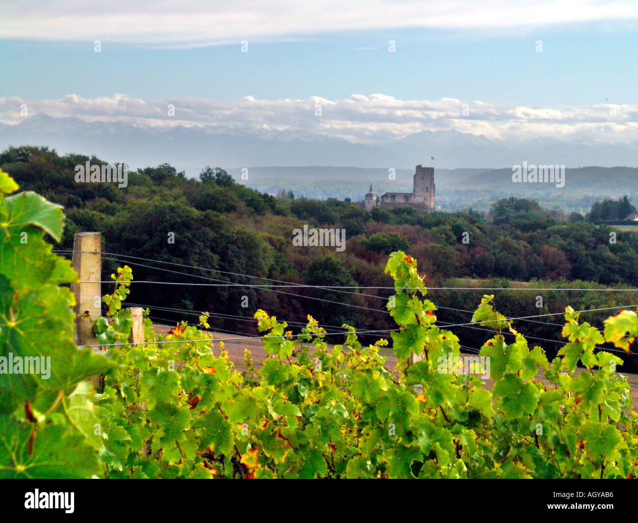 Termes armagnac hi-res stock photography and images - Alamy