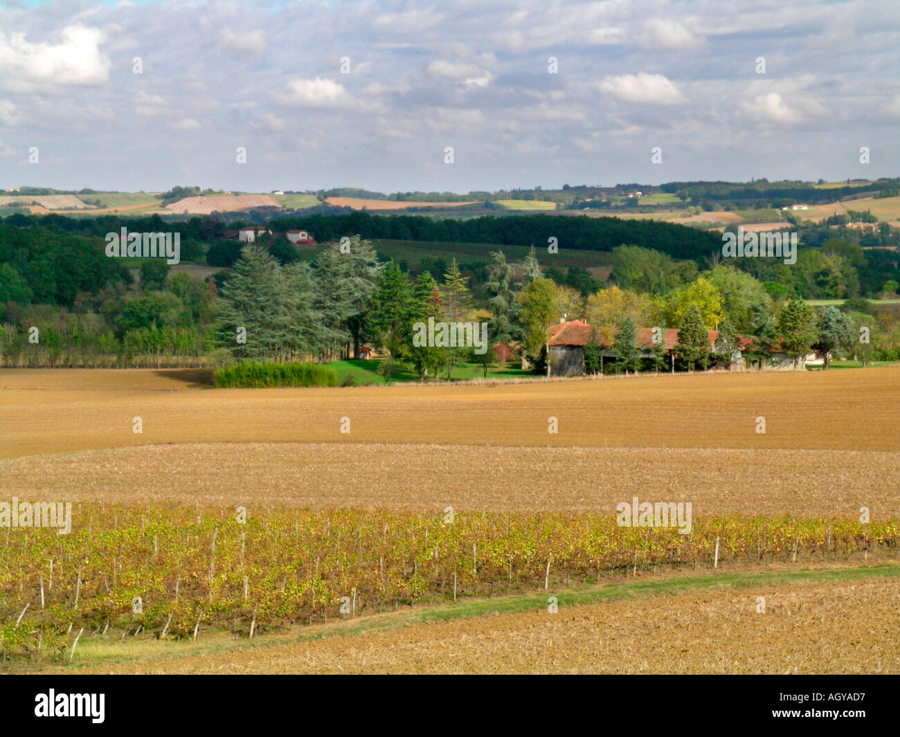 Vic Fezensac High Resolution Stock Photography and Images - Alamy