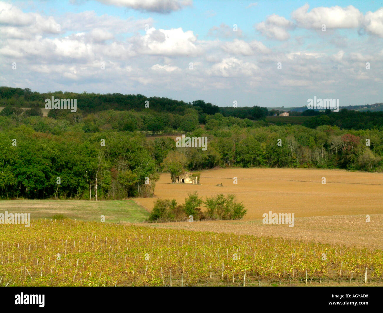 Vic Fezensac High Resolution Stock Photography and Images - Alamy