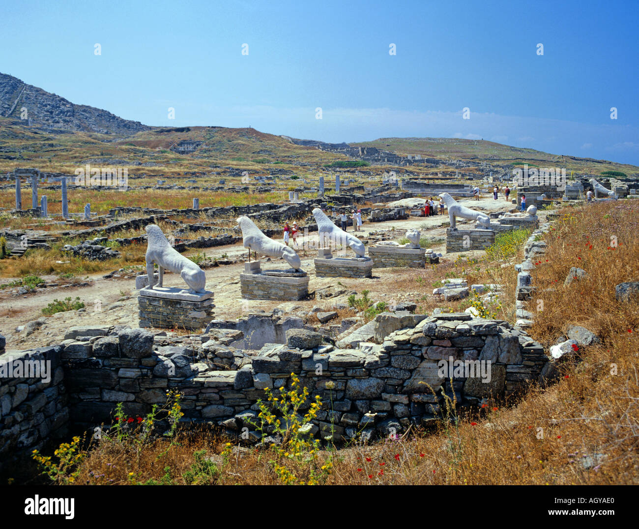 Delos Greece Lion Statues High Resolution Stock Photography and Images ...