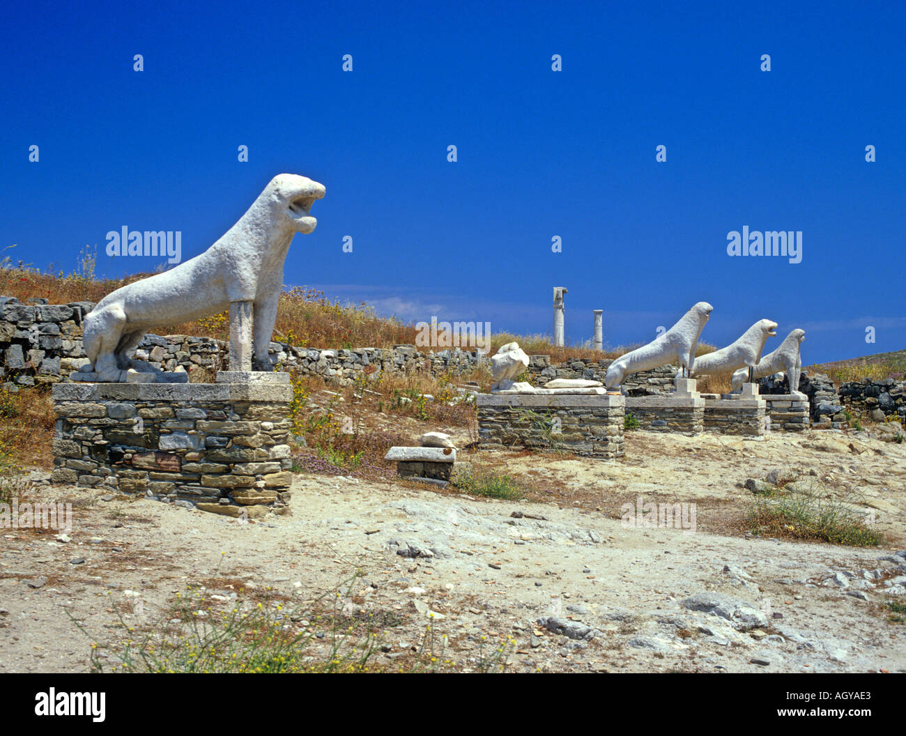 The Lion Statues Delos island sister island of Mykonos Greece Stock ...