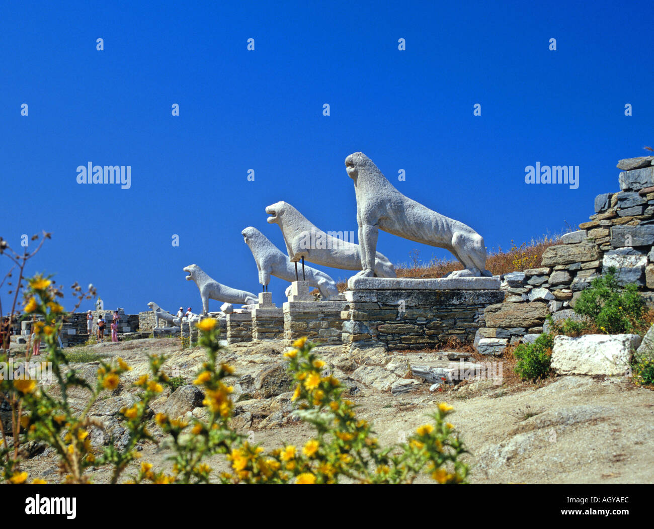 The Lion Statues Delos island sister island of Mykonos Greece Stock ...