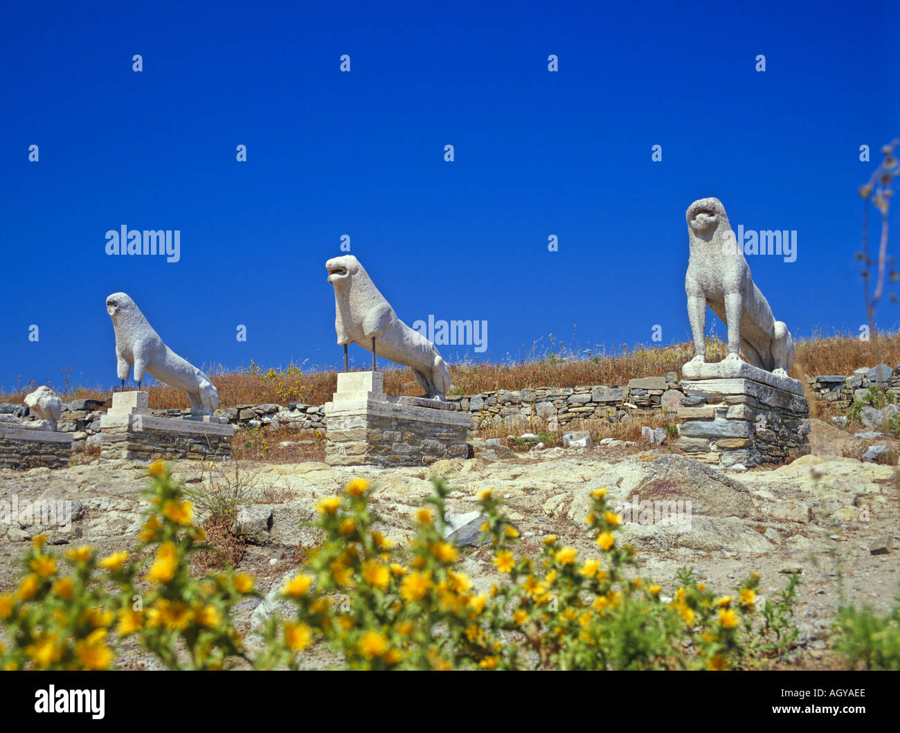 The Lion Statues Delos island sister island of Mykonos Greece Stock ...