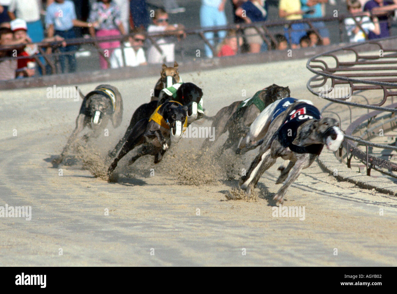 Dog Racing Tracks In Alabama