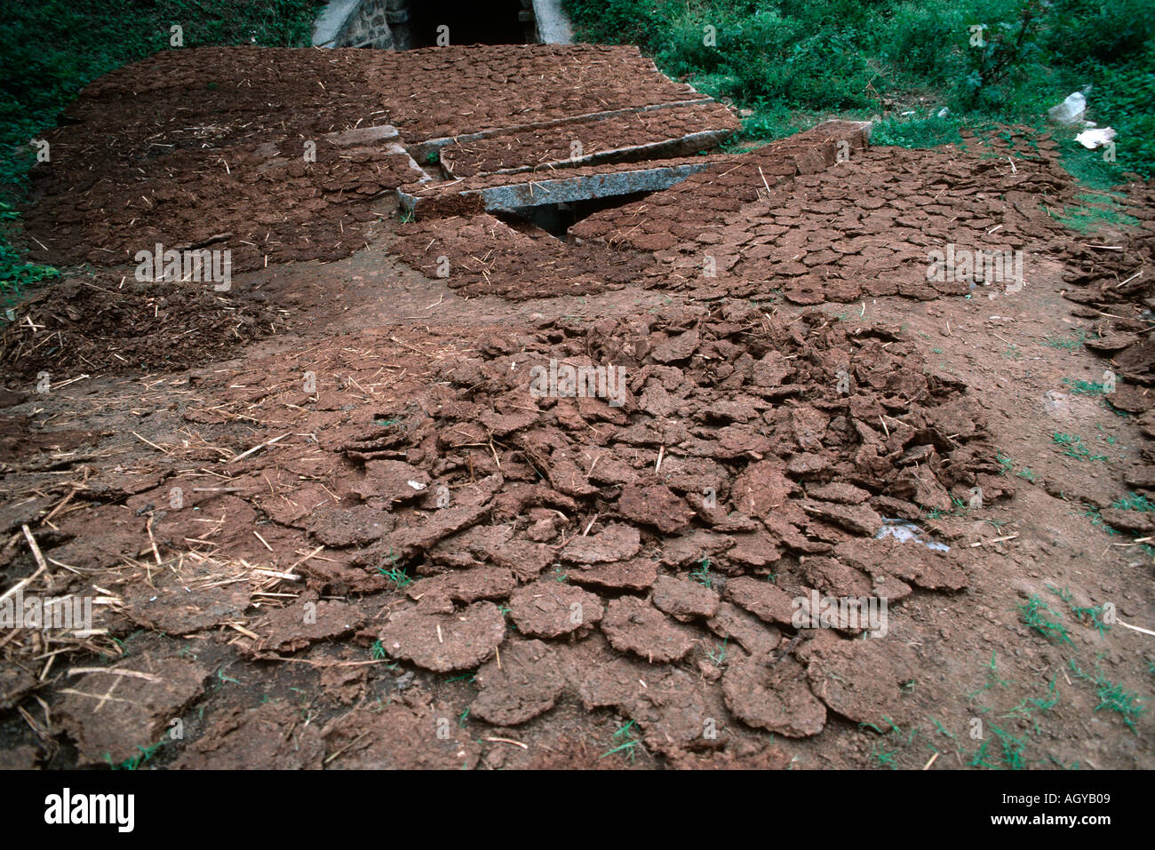 Drying cow dung in india hi-res stock photography and images - Alamy