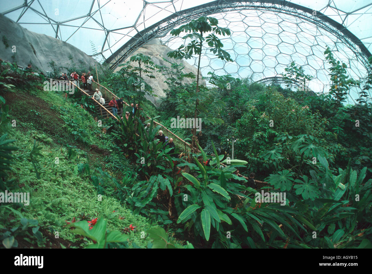 Eden Project Humid Tropics Biome huge greenhouse built in disused ...