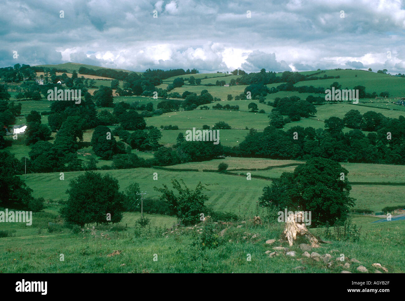Field patterns hi-res stock photography and images - Alamy