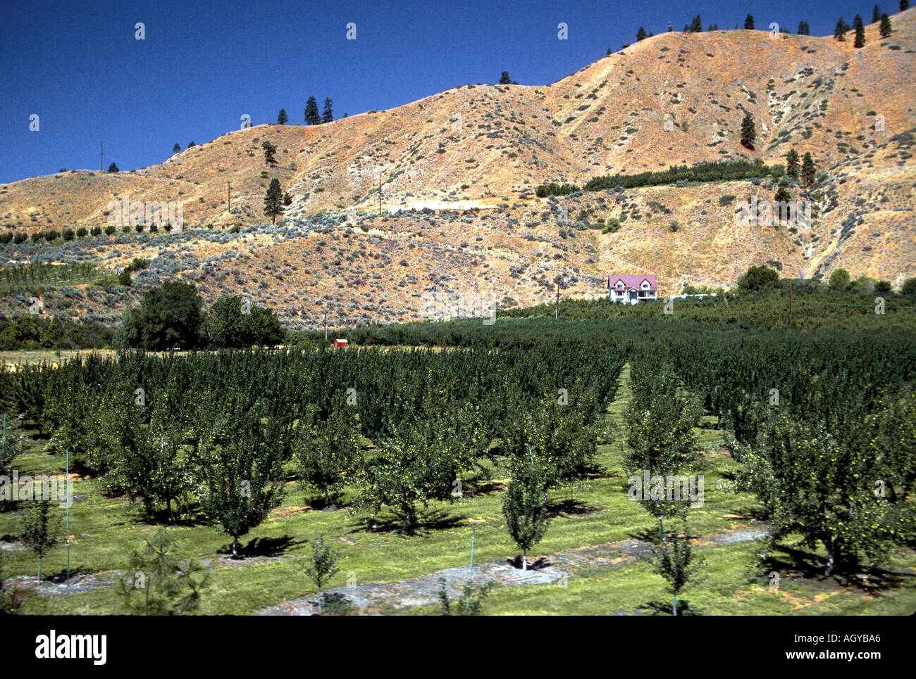 Cashmere washington hi-res stock photography and images - Alamy