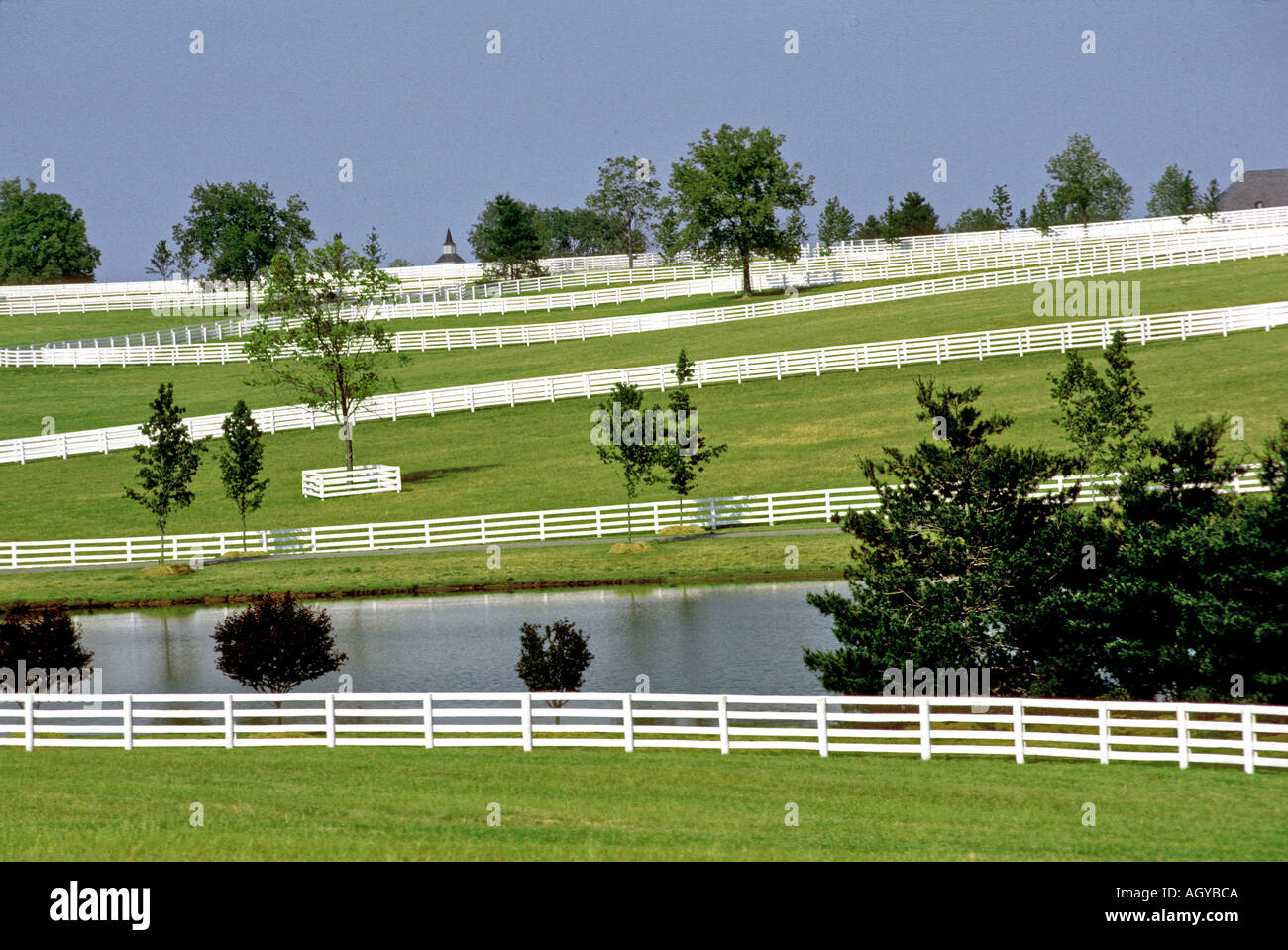 Kentucky Farm Scenery