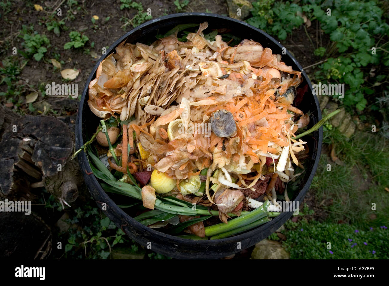Vegetable waste in compost bin Cotswolds UK Stock Photo - Alamy