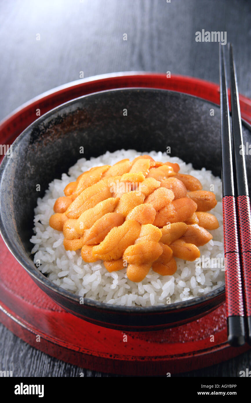 Sea urchin on rice in bowl Stock Photo - Alamy