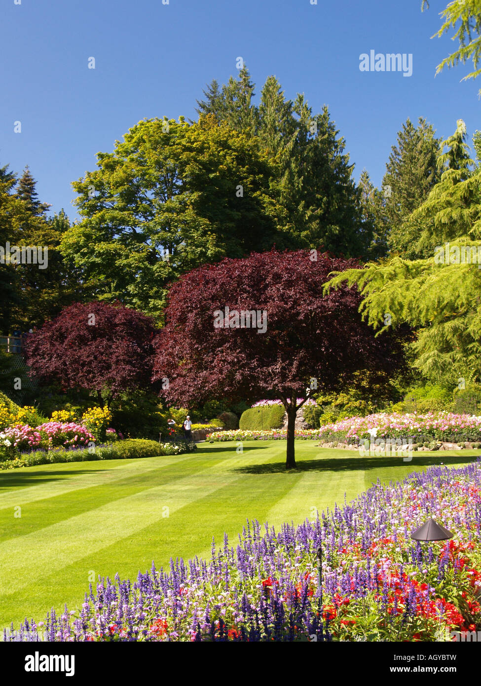 Garden Glimpse View High Resolution Stock Photography and Images - Alamy