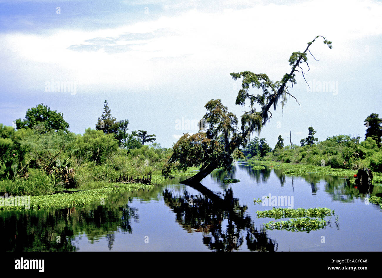 Marchek hi-res stock photography and images - Alamy