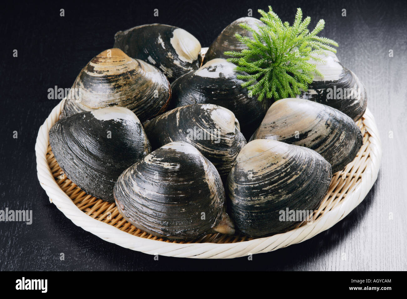 Bamboo Clams High Resolution Stock Photography and Images - Alamy