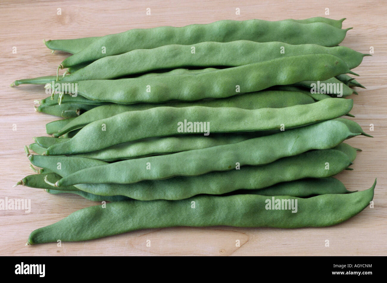 Phaseolus vulgaris 'Hunter' AGM (Climbing French bean) Picked green ...