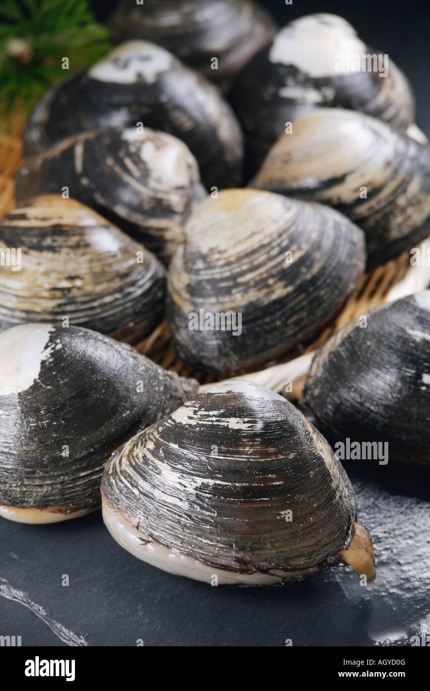 Bamboo Clams High Resolution Stock Photography and Images - Alamy