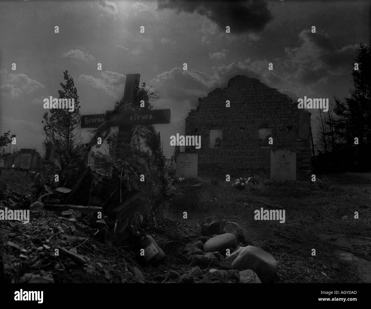 Plants consecrated hi-res stock photography and images - Alamy