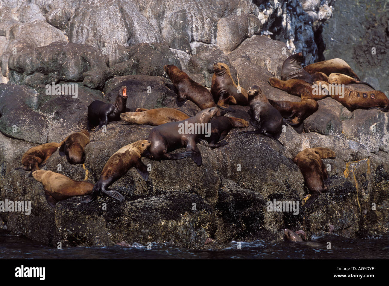 Islands in resurrection bay alaska hi-res stock photography and images ...