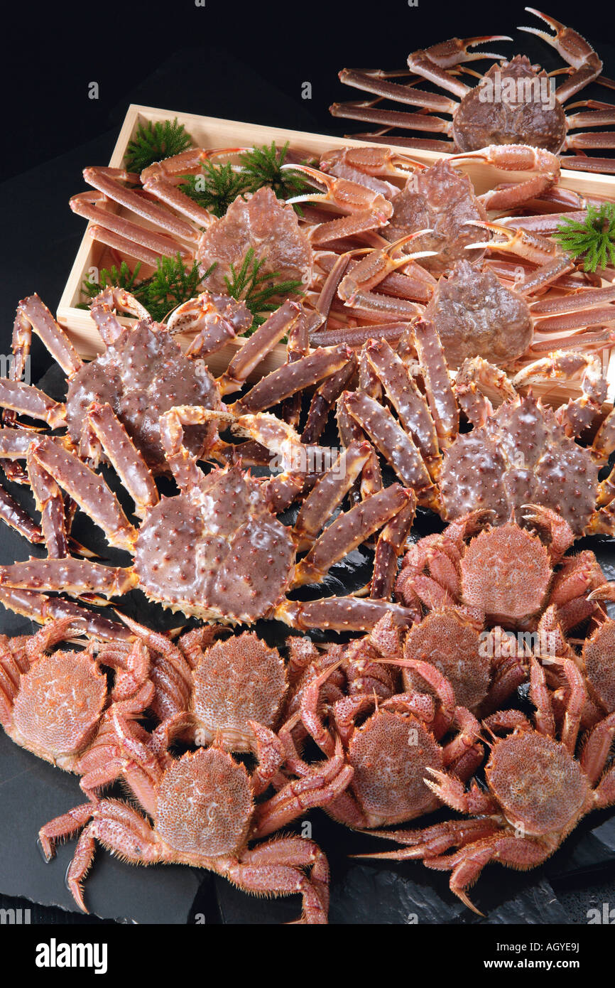 Horsehair crab hi-res stock photography and images - Alamy