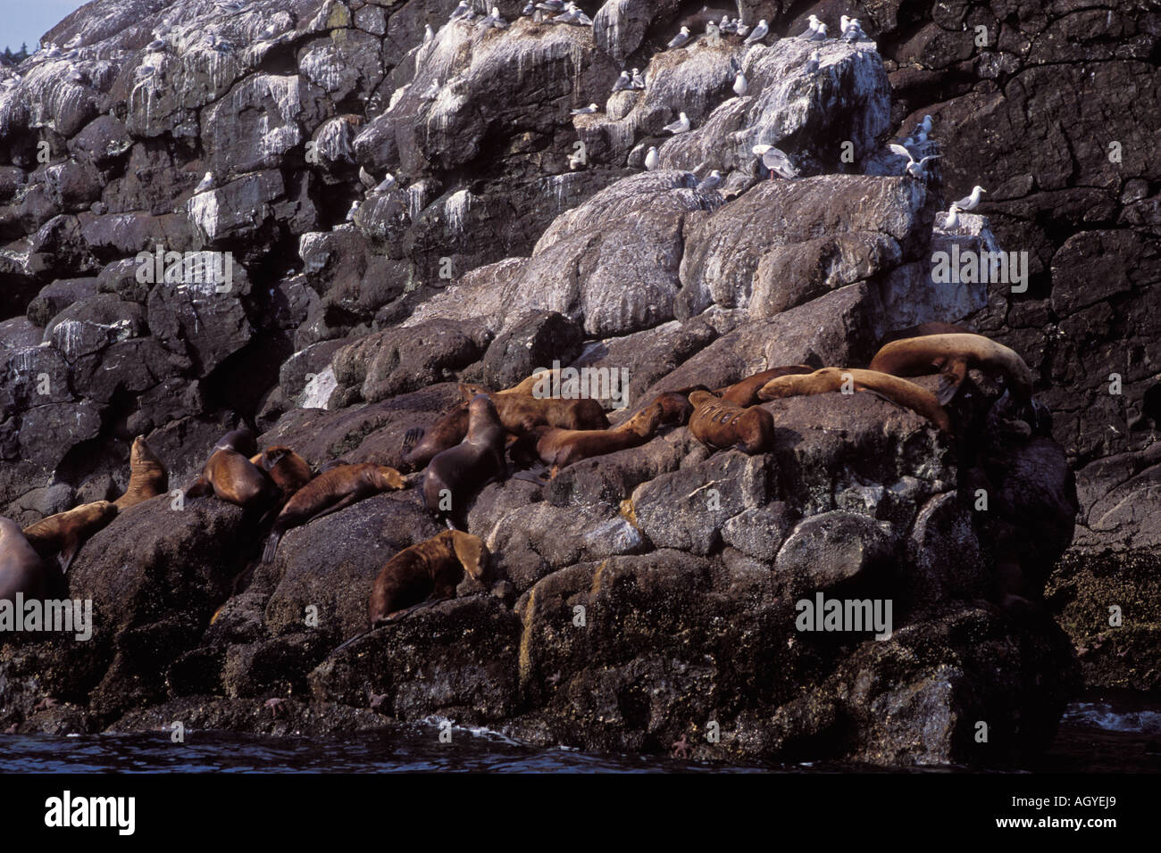 Islands in resurrection bay alaska hi-res stock photography and images ...