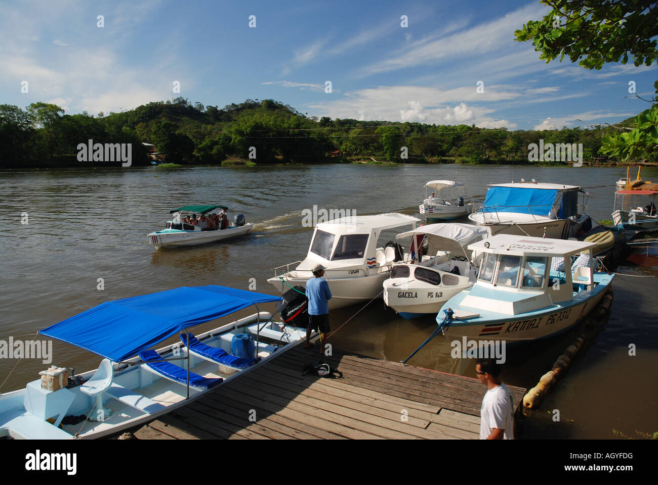 Sierpe river hi-res stock photography and images - Alamy