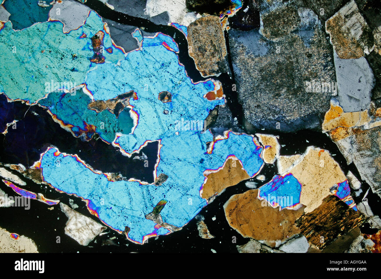 Biotite Microscope